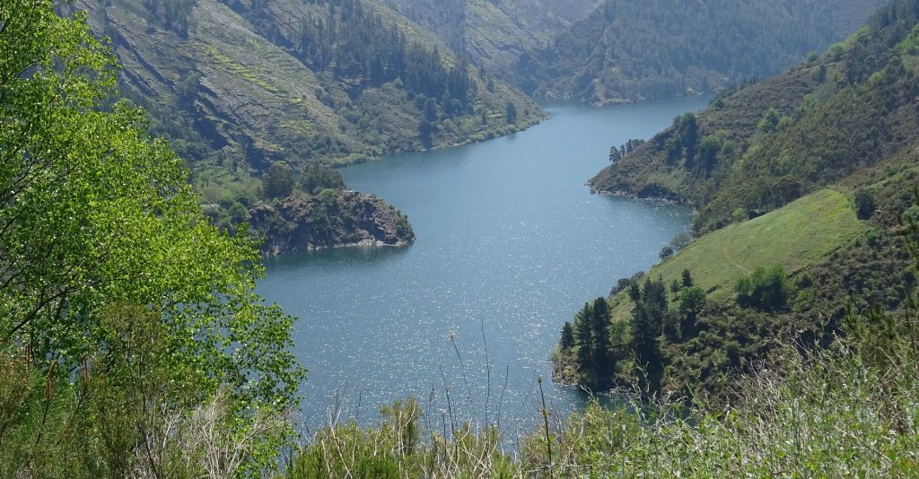 Inicio - David Trivín - Web Oficial